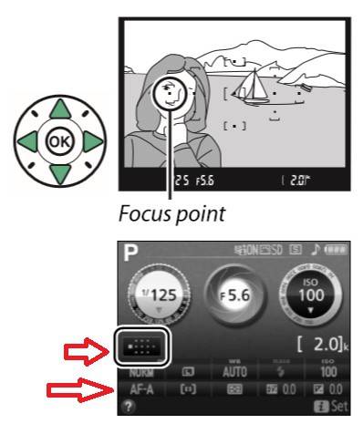 Focus Modes Tutorial for Nikon D3300
