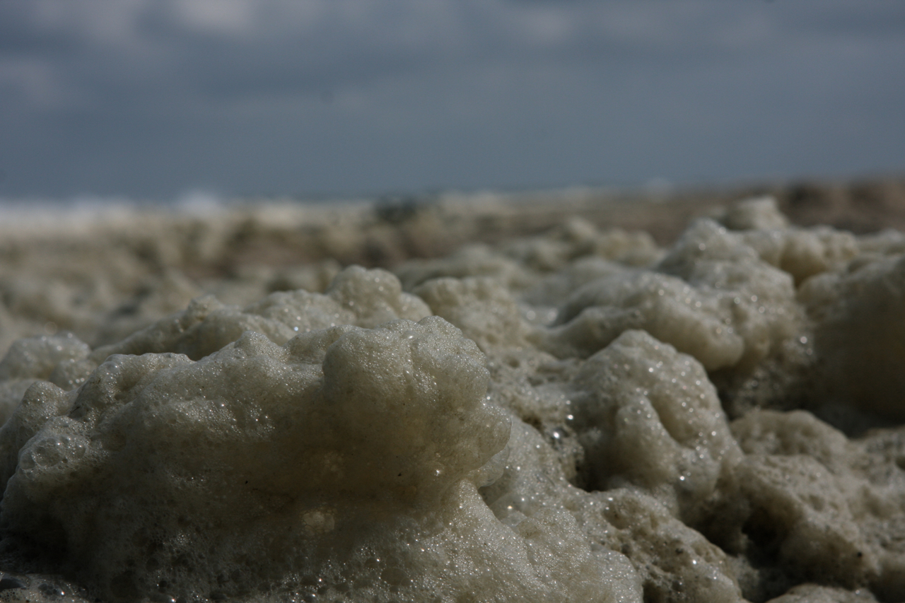 Rehoboth Foamy Stuff | Pixelpooch