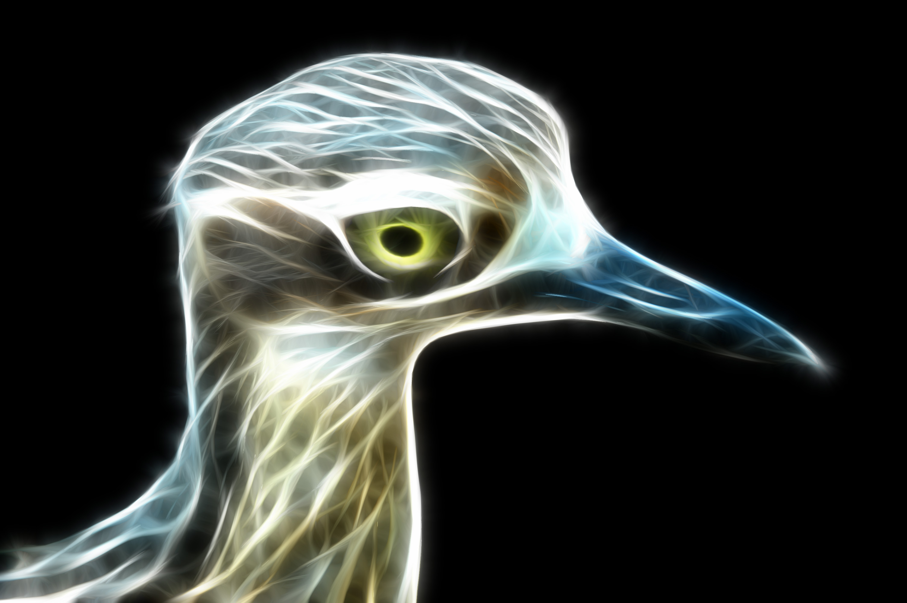 Fractalius: Bird « Places 2 Explore