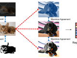 Graph Contrastive Learning Michael Plainer