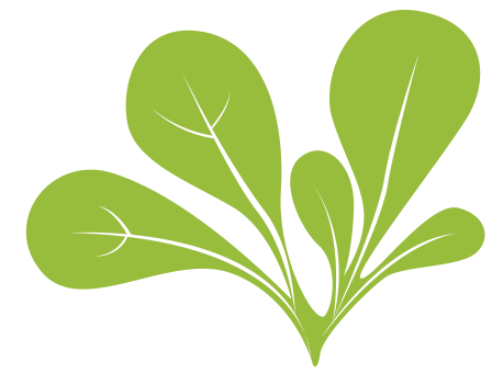 leaf only – Plant Based Central