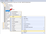Backup Database Planvisage
