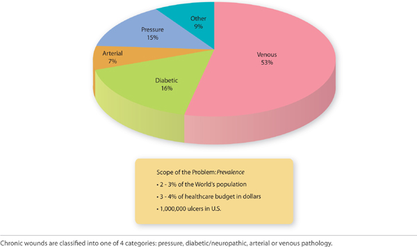 Healing Response in Acute and Chronic Wounds | Plastic Surgery Key