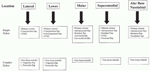 Reconstruction of the Cheeks | Plastic Surgery Key