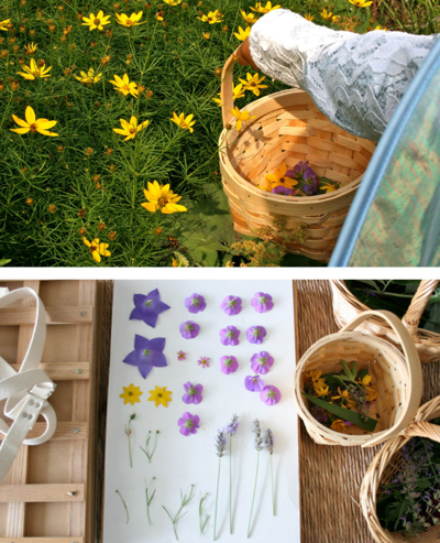 6 Nature-Based Projects for Spring | The Absorbent Teacher