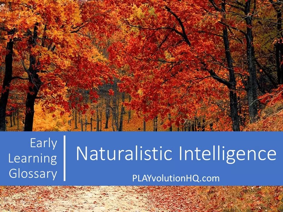Naturalistic Learner