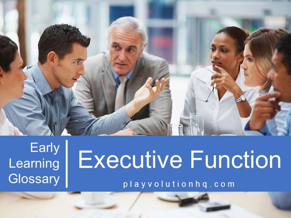 Executive Function | Playvolution HQ