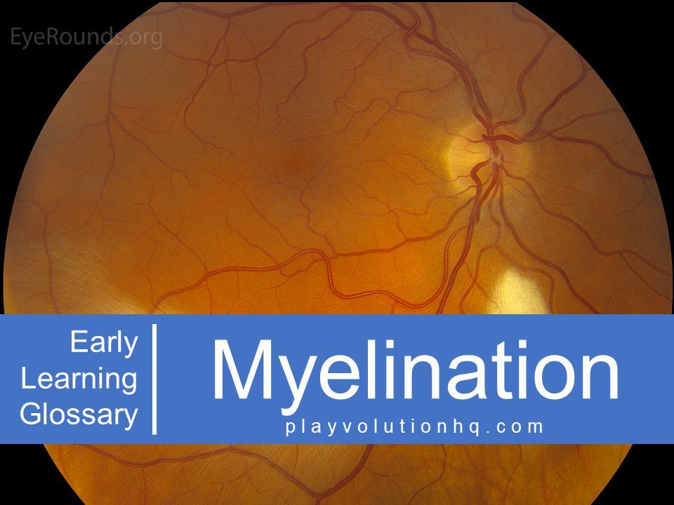 Myelination | Playvolution HQ
