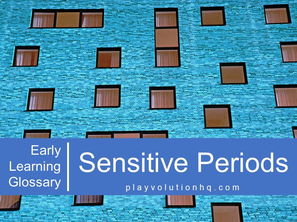 Sensitive Periods | Playvolution HQ