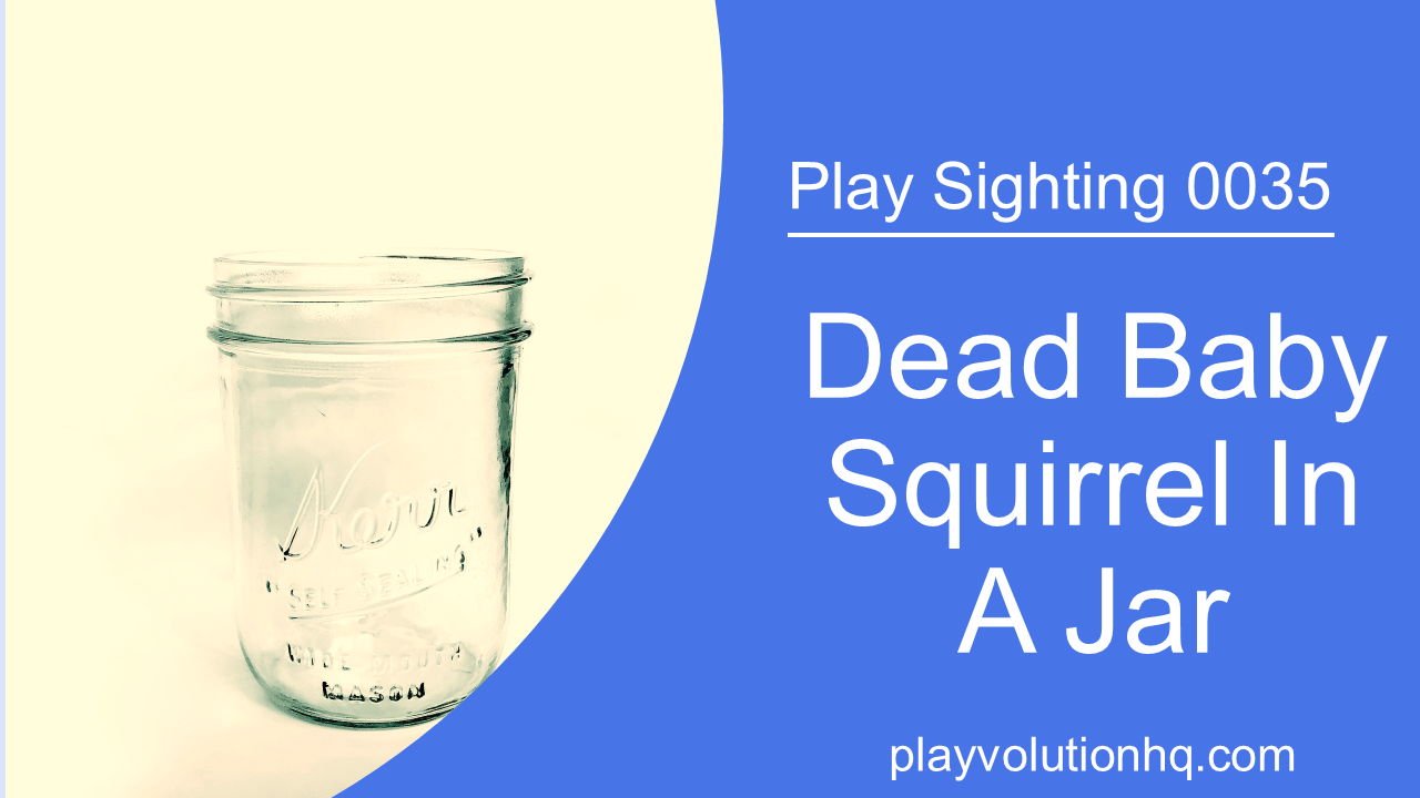Dead Baby Squirrel In A Jar | Play Sighting 0035 | Playvolution HQ