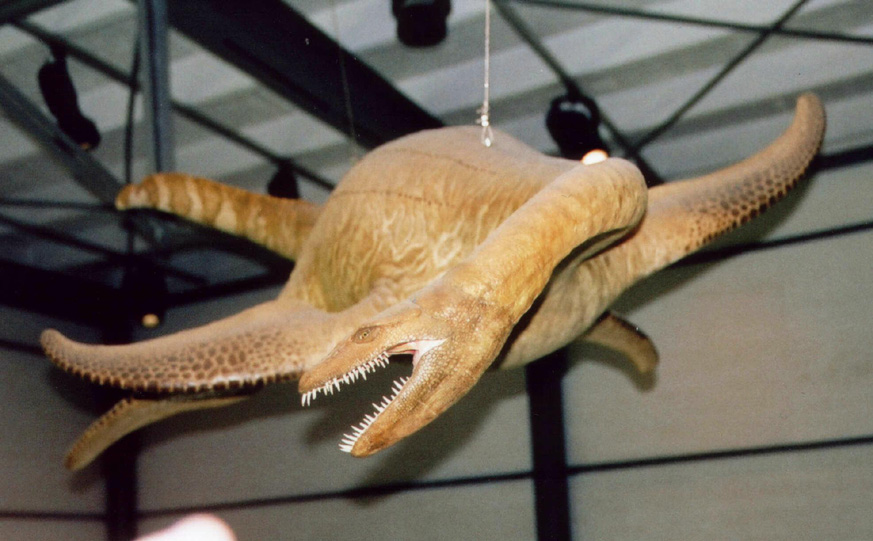 Life restorations – Plesiosaur Directory