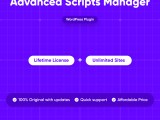 Advanced Scripts Manager Original Lifetime License Key With Auto