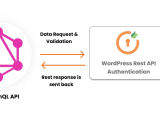 Why Authentication And Authorization Are Critical For Securing Graphql Apis