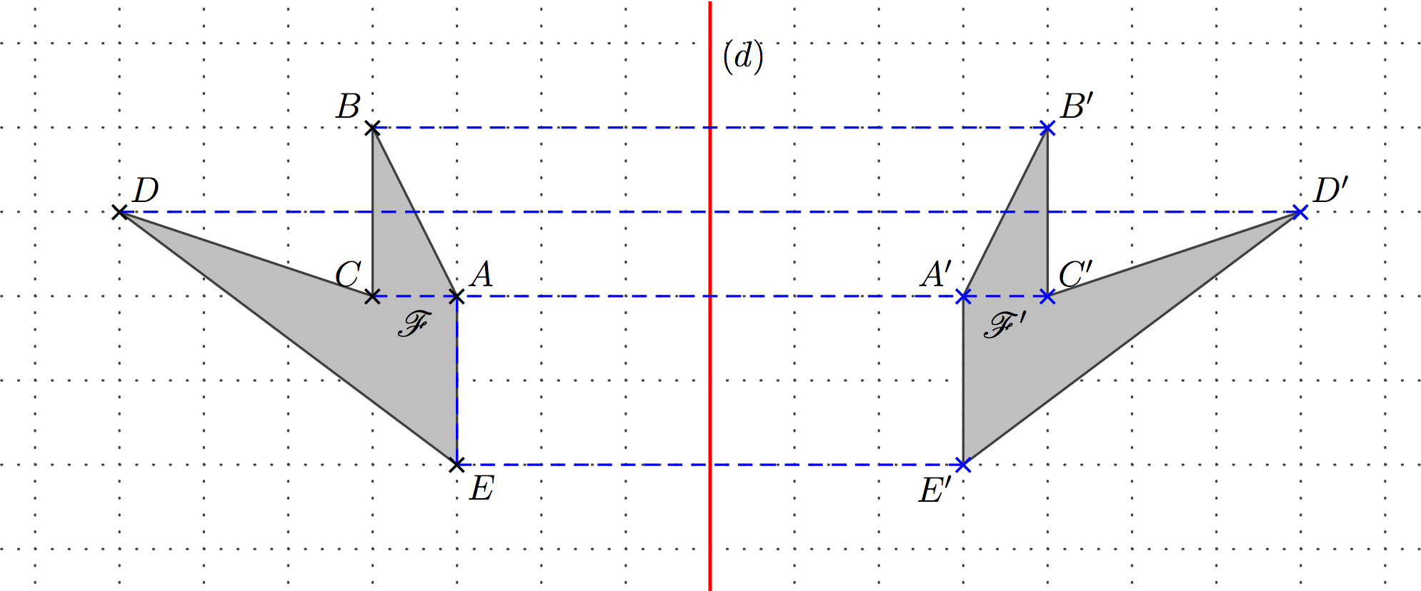 Cinquième : cours et exercices sur la symétrie – Plus de bonnes notes