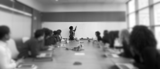 Don't fear your SteerCo anymore! - Project Management Bundle