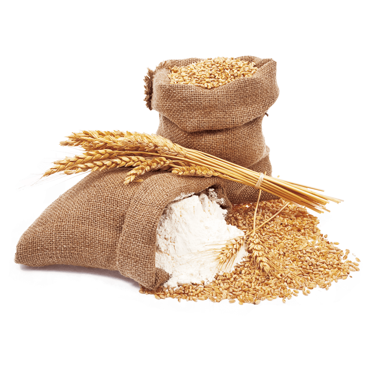 Wheat Flour PNG Images (Transparent HD Photo Clipart)