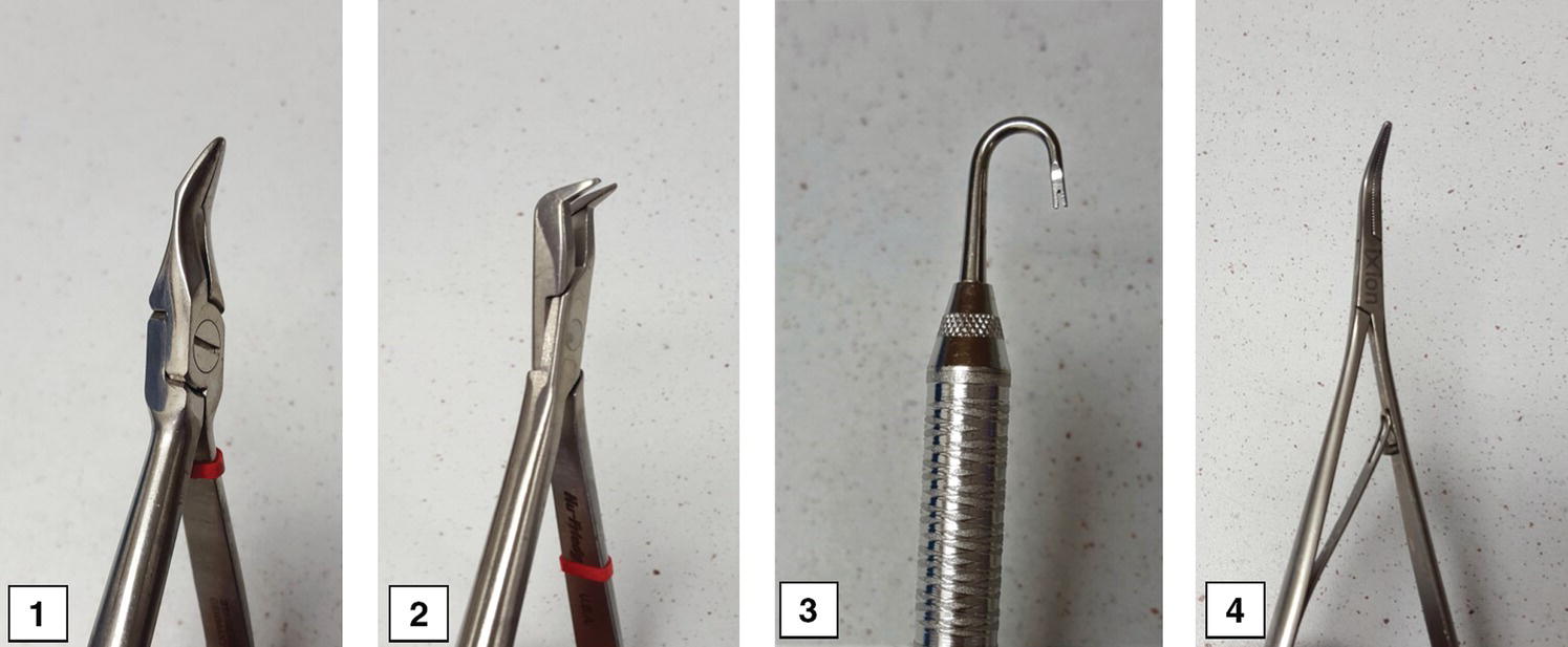 Fixed Appliances and Orthodontic Instruments | Pocket Dentistry