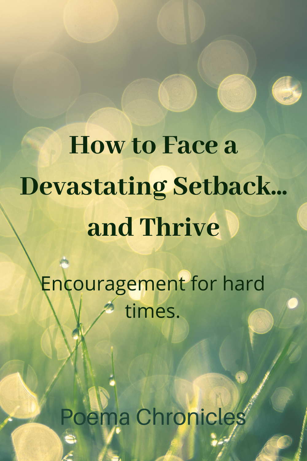 How to Face a Devastating Setback and Thrive – Poema Chronicles