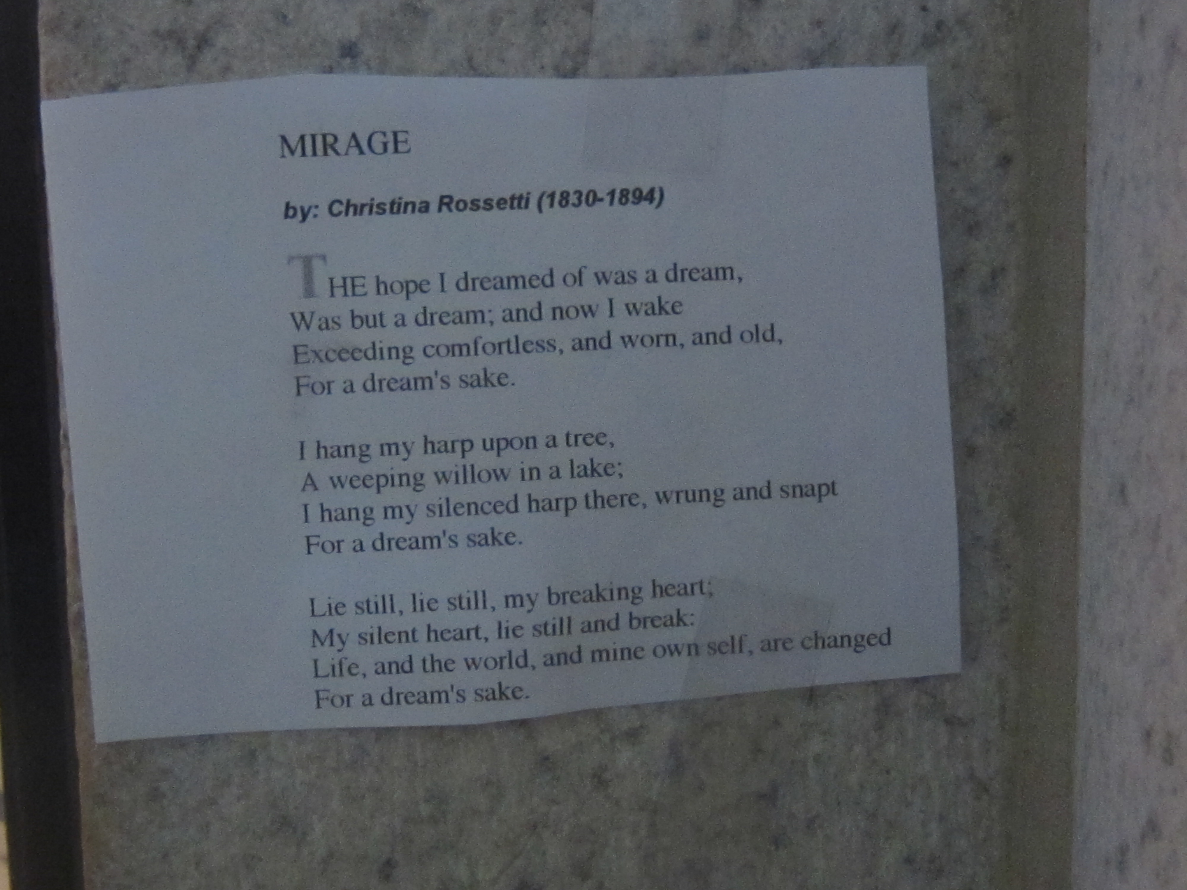 Don’t go confidently in the direction of your dreams – poem elf