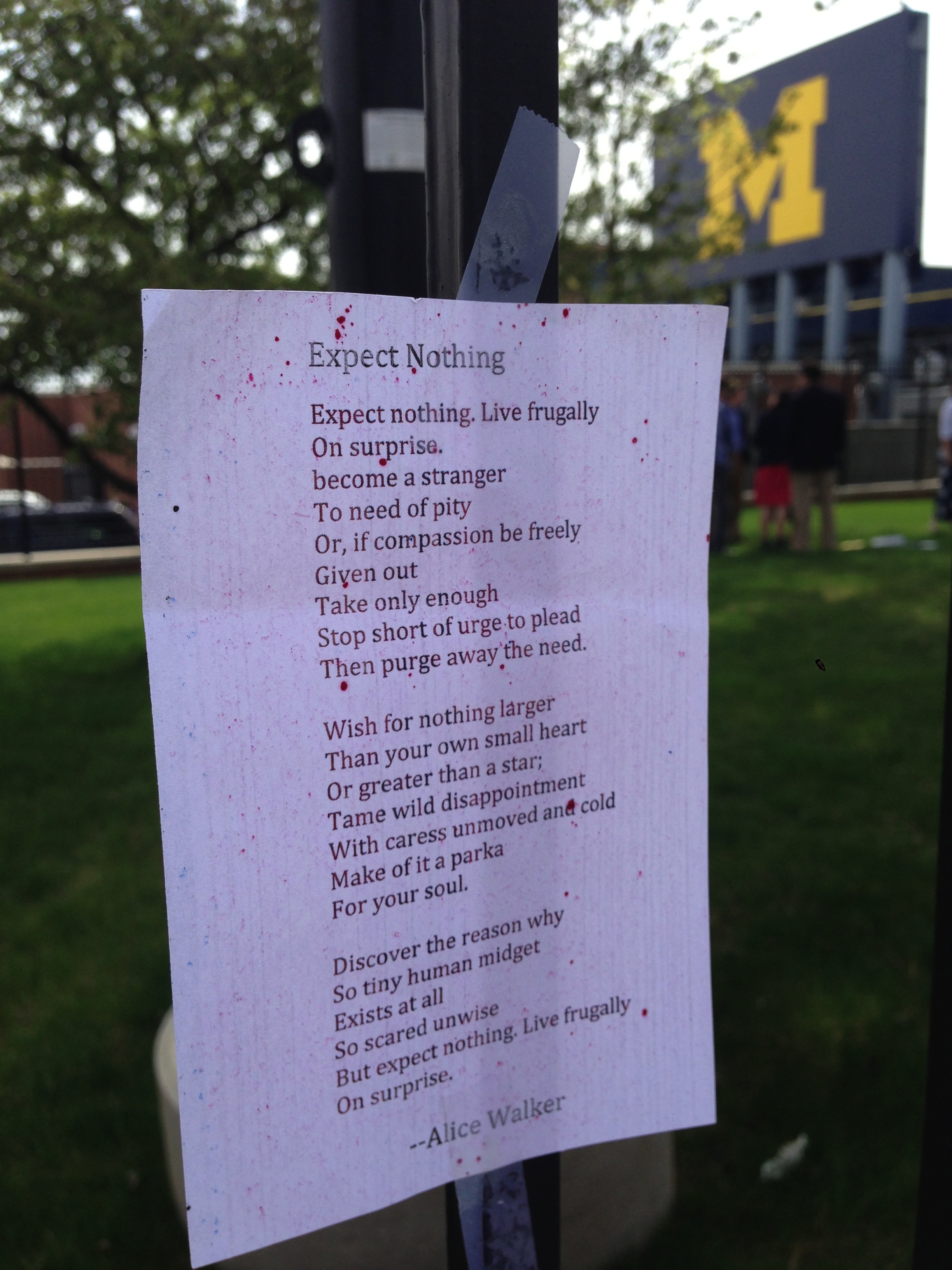 Toothbrushes and other luxuries – poem elf