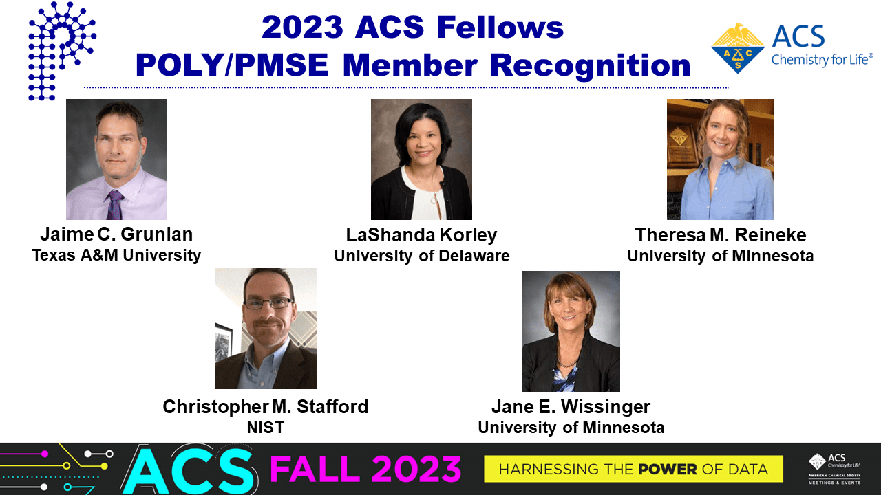 Division of Polymer Chemistry, Inc.