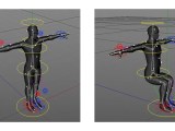 Unlock The Potential A Complete Guide To 3d Model Rigging