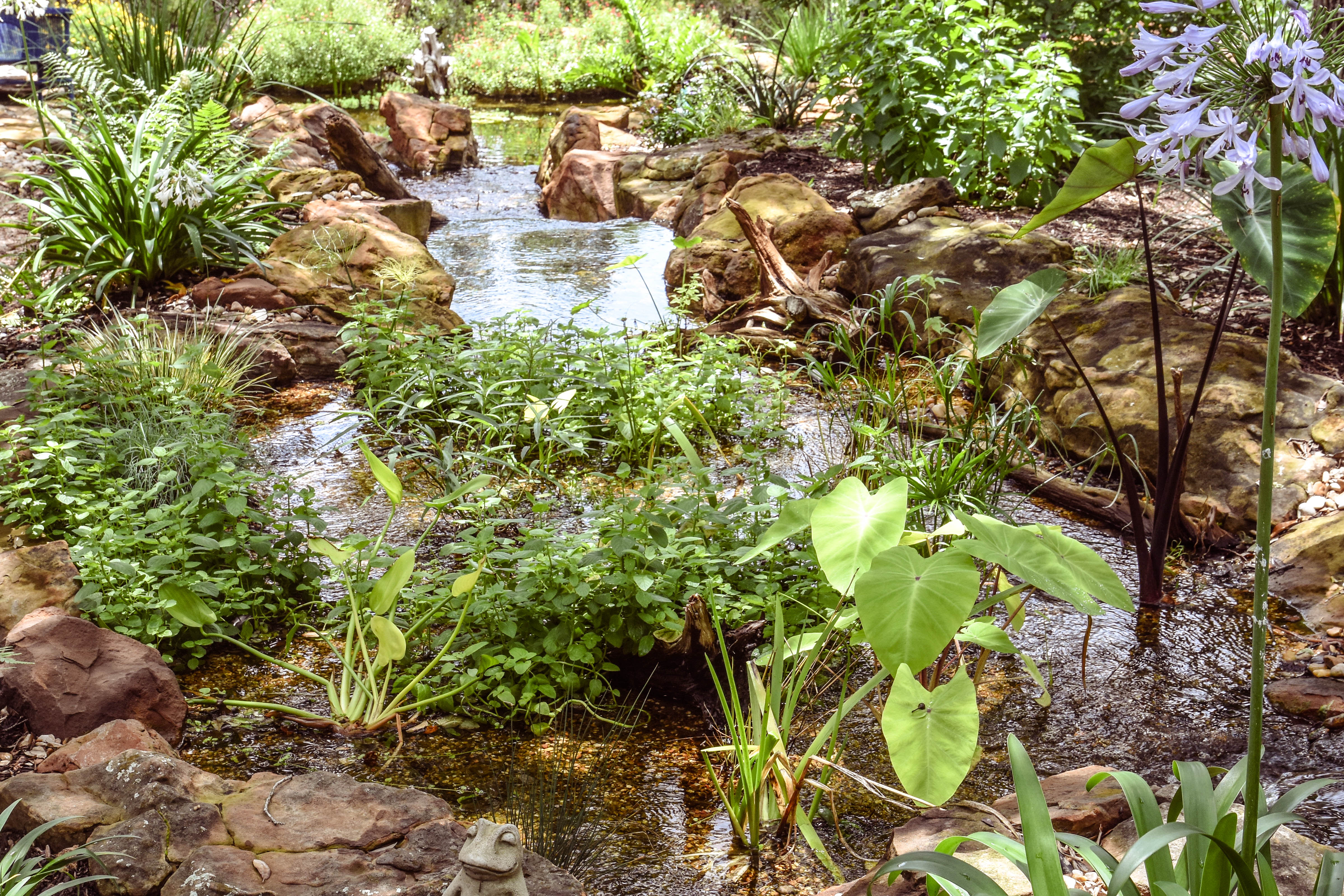 Austin Pond Society 22nd Annual Tour – S6 | Life and Day to Day things ...