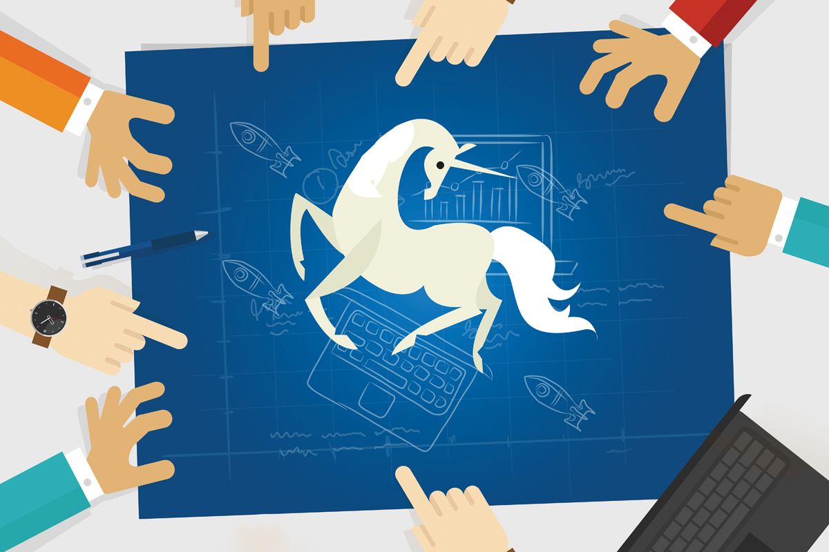 The Elusive Unicorn Platform - PoolPro