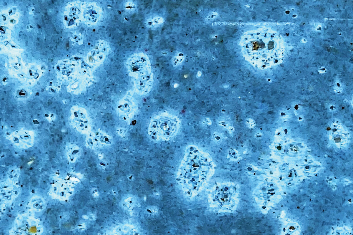 A Fight to the Finish - PoolPro