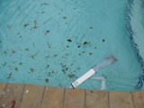 About Pool Python Pool Skimmer