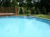 About Pool Python Pool Skimmer