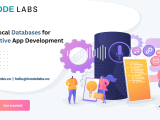 Top 15 Local Databases For React Native App Development