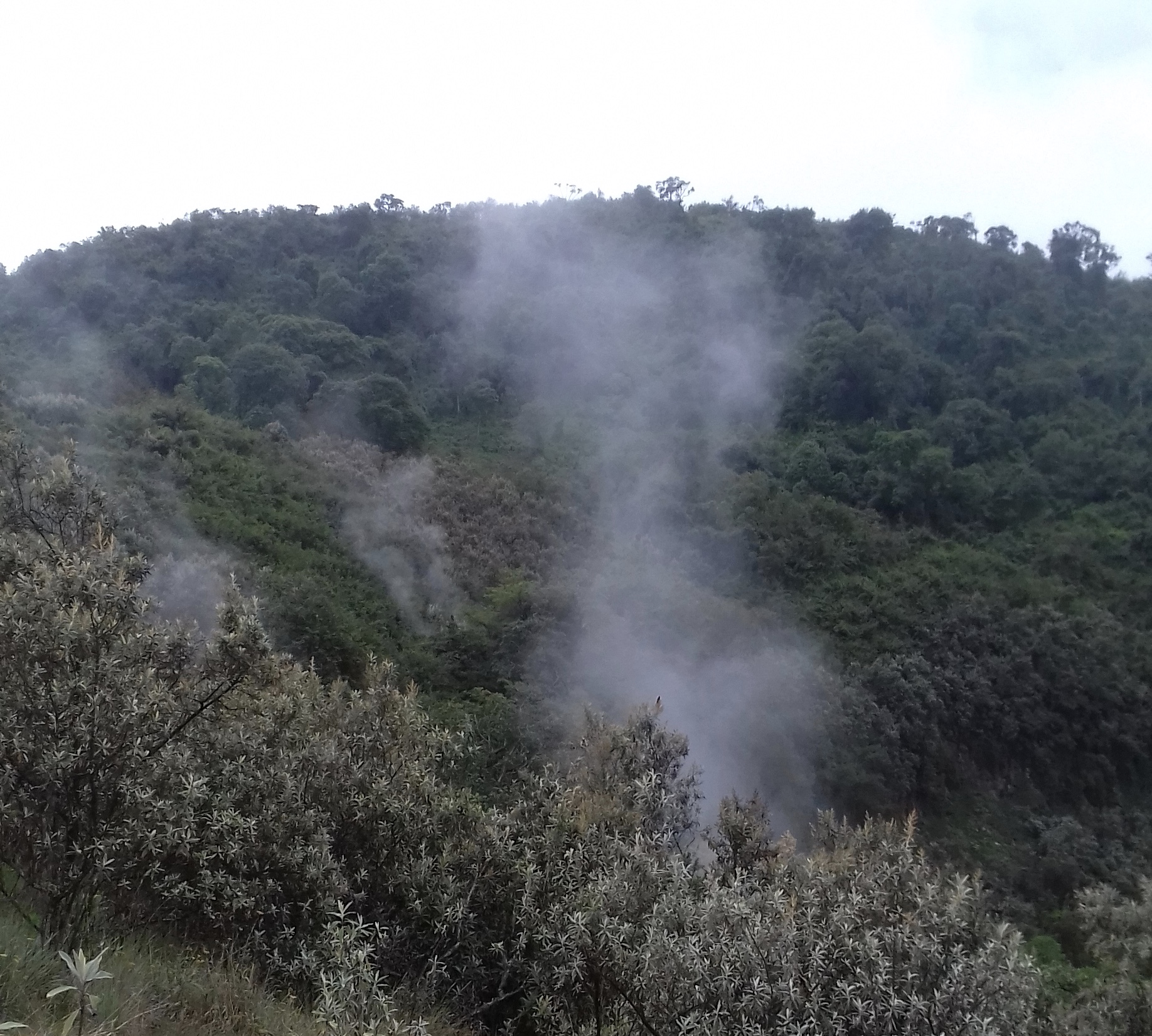 Eburu Forest – Popula