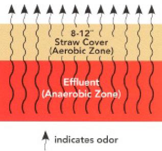 Swine Manure Storage and Handling Practices to Minimize Odors - Pork ...