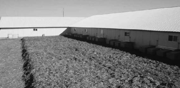 Biofilters for Odor Control at Swine Facilities - Pork Information Gateway