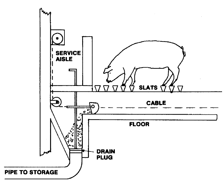 Scraper Systems for Removing Manure From Swine Facilities - Pork ...