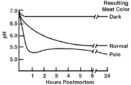 Variation in Pork Lean Quality - Pork Information Gateway