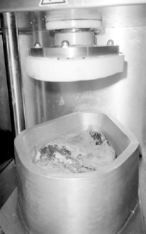 Comparison of European & American Systems of Production and Consumption ...