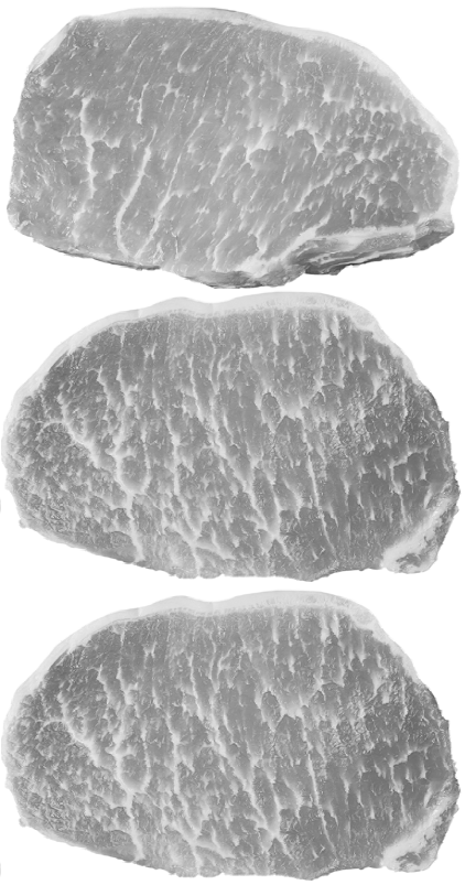 Variation in Pork Lean Quality - Pork Information Gateway