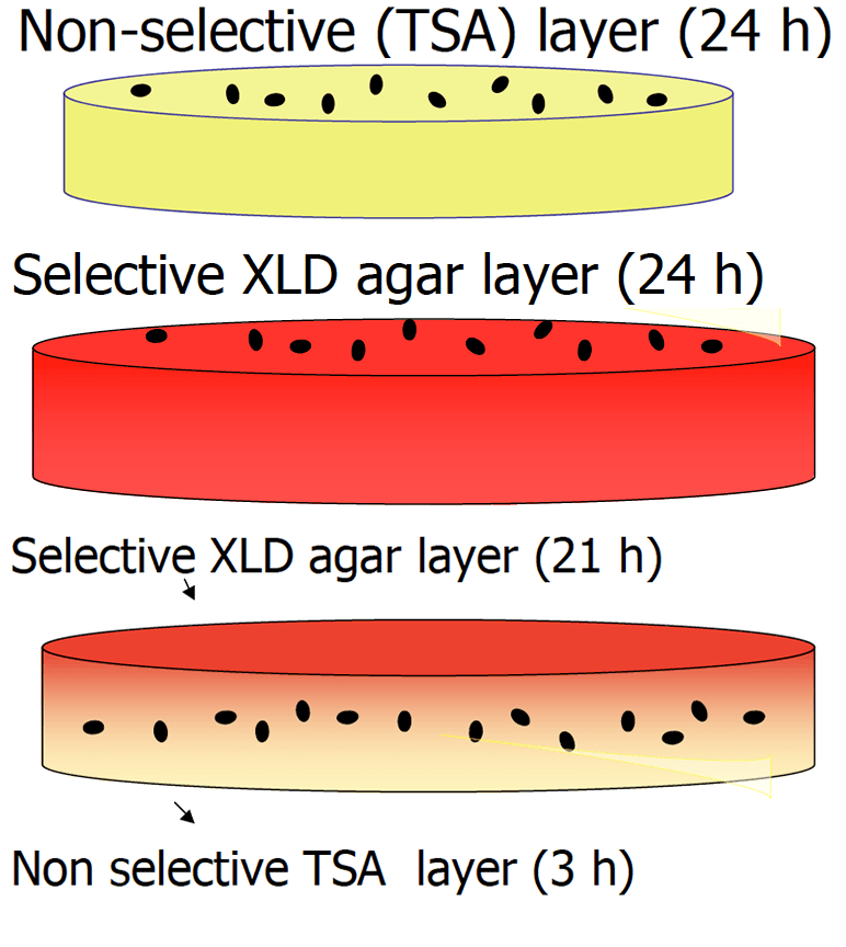 Effects of Chilling Methods on Bacterial Recovery and Reducing Bacteria ...