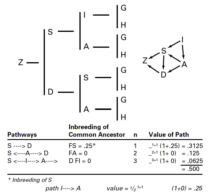 Inbreeding Coefficient Formula Genetic Diversity – Managing