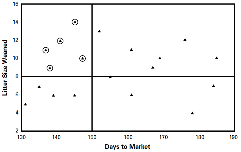 Multiple Trait Selection For Pork Improvement - Pork Information Gateway
