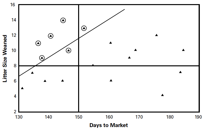 Multiple Trait Selection For Pork Improvement - Pork Information Gateway