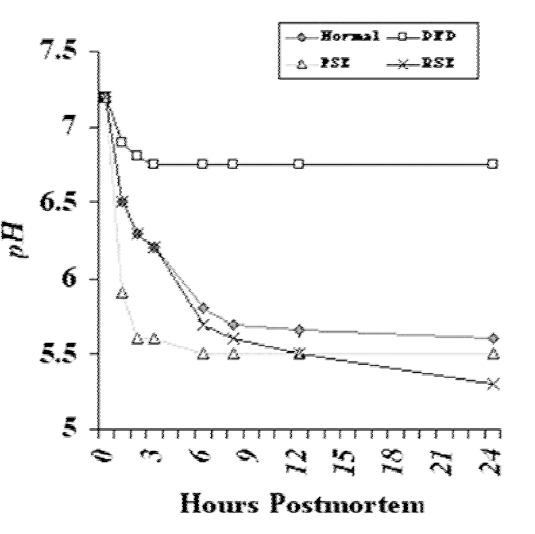 Water-Holding Capacity of Fresh Meat - Pork Information Gateway