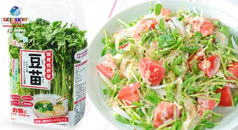 Tomyo: verdura ganha destaque pelo preço e valores nutritivos - Portal Mie