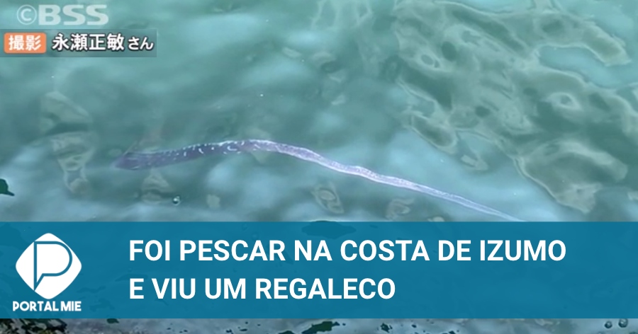 Regaleco é visto em Shimane - Portal Mie