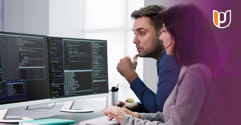 Navigating Coding Languages: Beyond Python and JavaScript