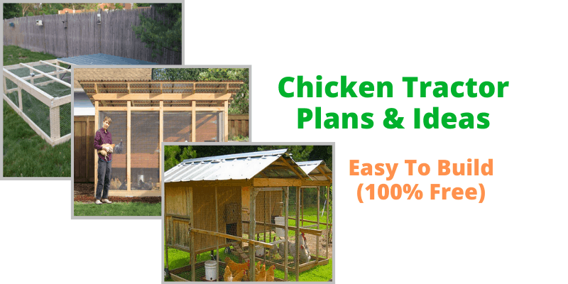 10 Free Chicken Tractor Plans That Anyone Can Build [DIY Ideas]