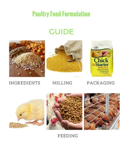 Layers Mash Archives - POULTRY FEED FORMULATION