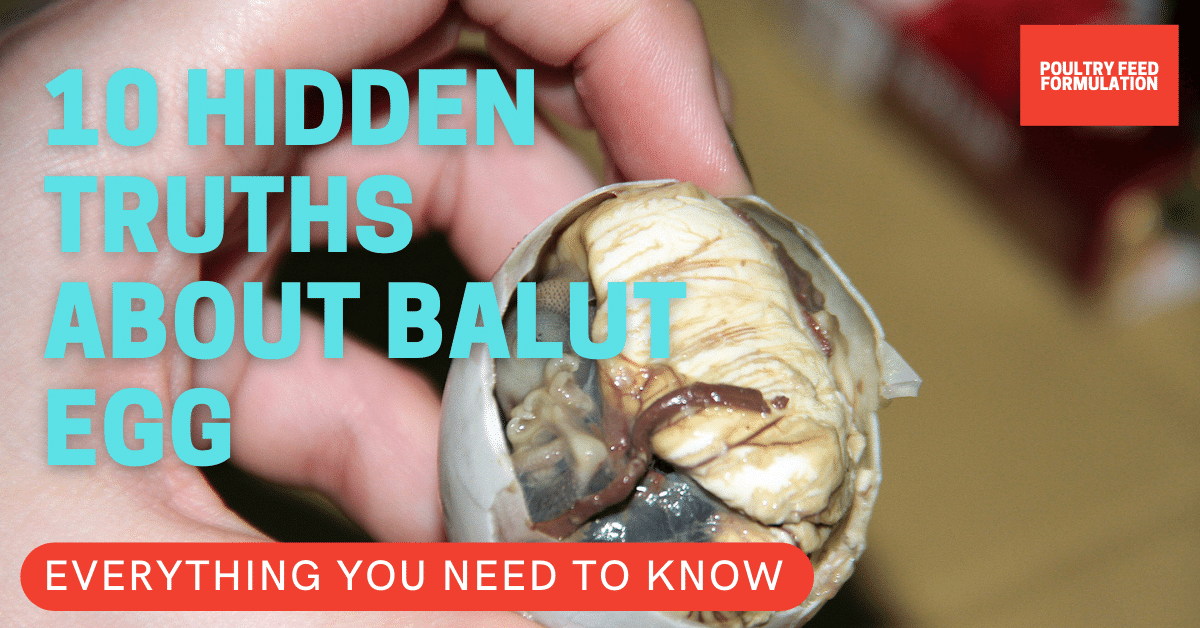 10 Amazing Truths About Balut Eggs You Need To Know - POULTRY FEED ...